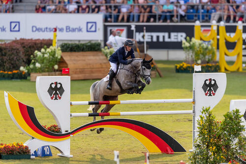 IB Berger | IB Berger Reit- und Turnierpferde GmbH